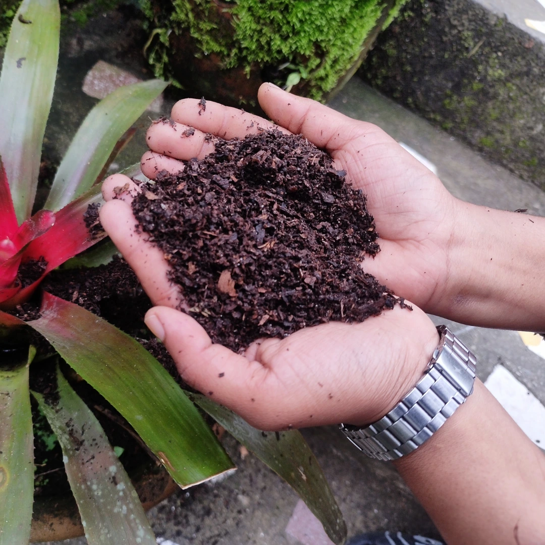 Organic Compost - TIEEDI